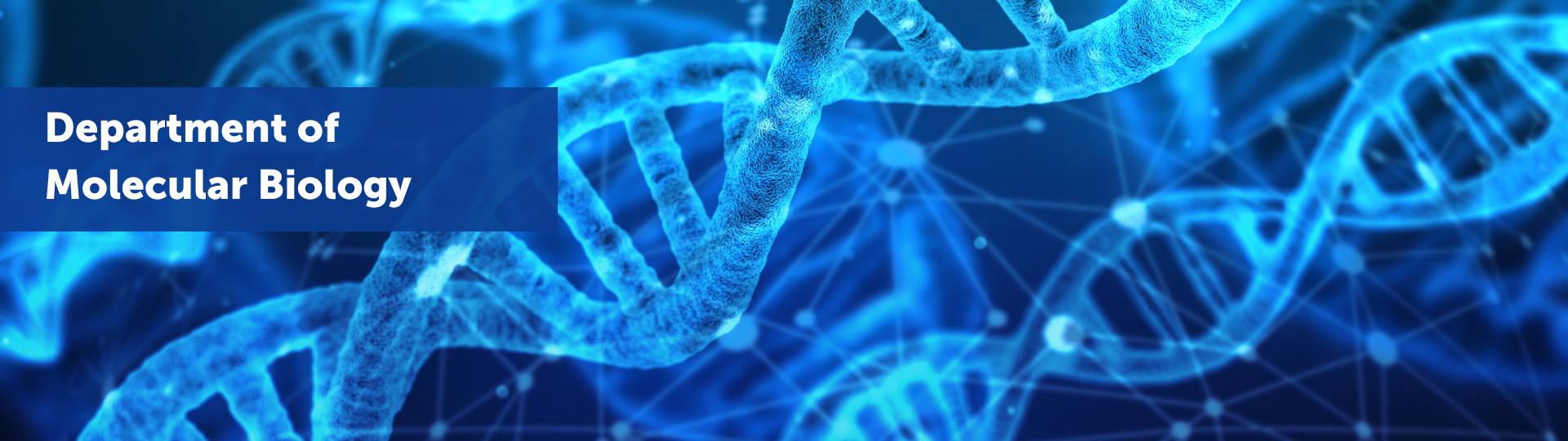 DEPARTMENT OF MOLECULAR BIOLOGY | www.svujihlava.cz
